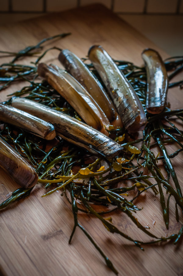 The Weird & Wonderful Razor Clam! - Monahan's Seafood Market | Fresh ...