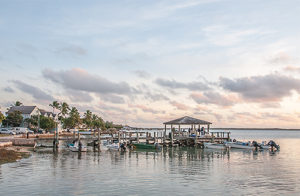 True Slow Food- Cracked Conch: Sea Snails Rule! - Monahan's Seafood ...