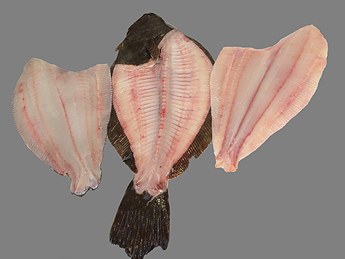 It’s No Fluke, This Is One Fine Flatfish - Monahan's Seafood Market ...