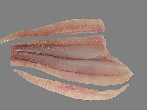 It’s No Fluke, This Is One Fine Flatfish - Monahan's Seafood Market ...